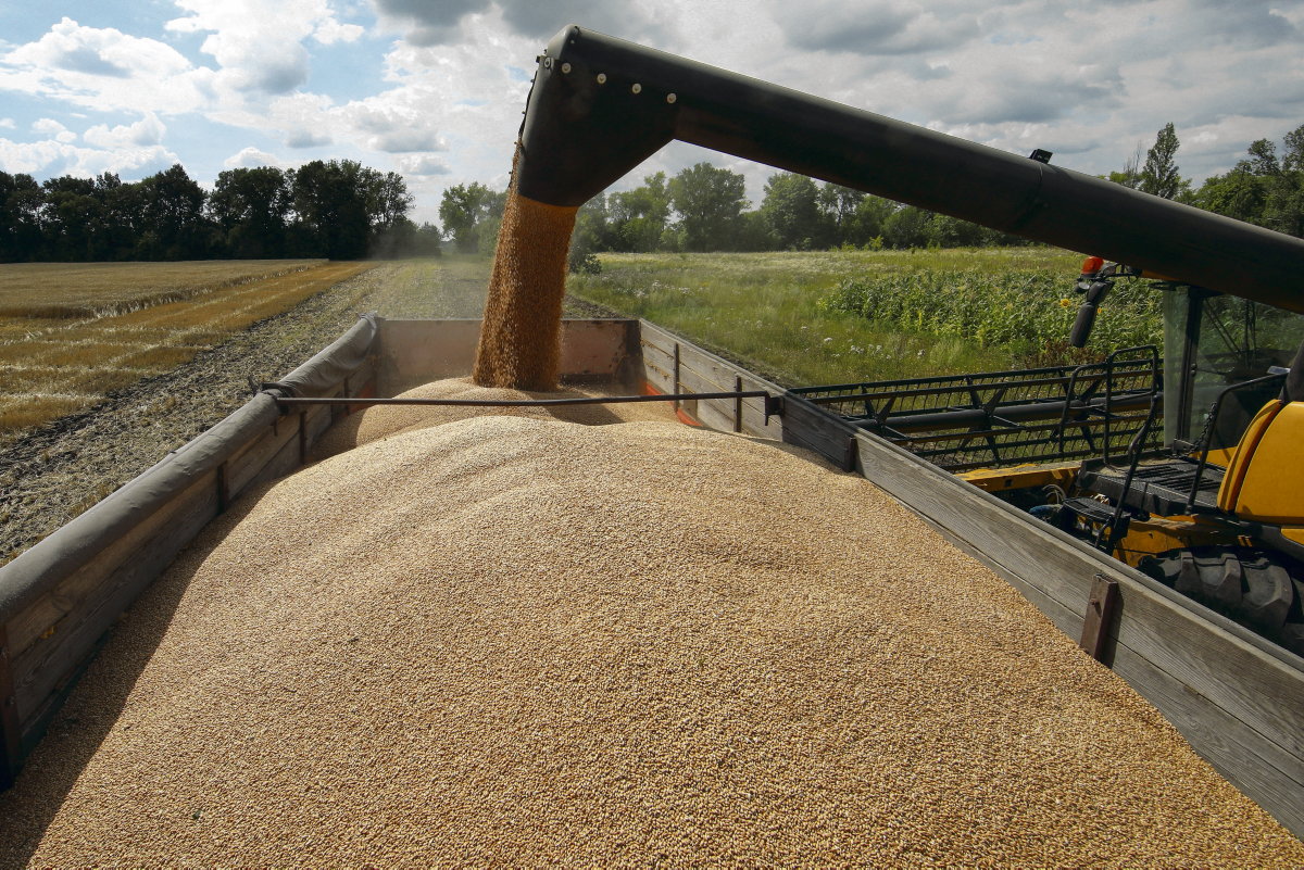 Accord céréalier: Erdogan optimiste - Anne Andlauer - RFI INFOS & ACTUS ...